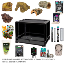 BioActive Leopard Gecko Complete Kit - GGSKLGBA | GlobalGeckos.co.uk